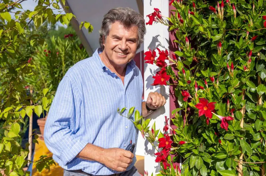 RAMON ROSELLY: Gestern musste er im TV gegen sich selbst antreten: ANDY ...